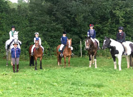 Equestrian - Equine Services Hinckley Leicestershire